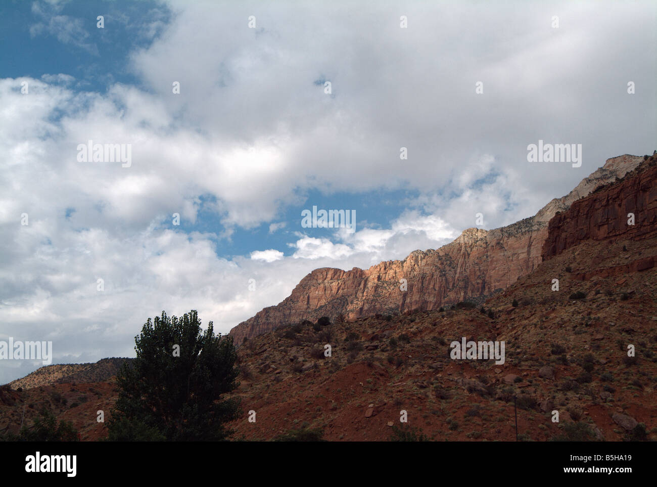 Zion National Park. Near Springdale. Utah. USA Stock Photo - Alamy