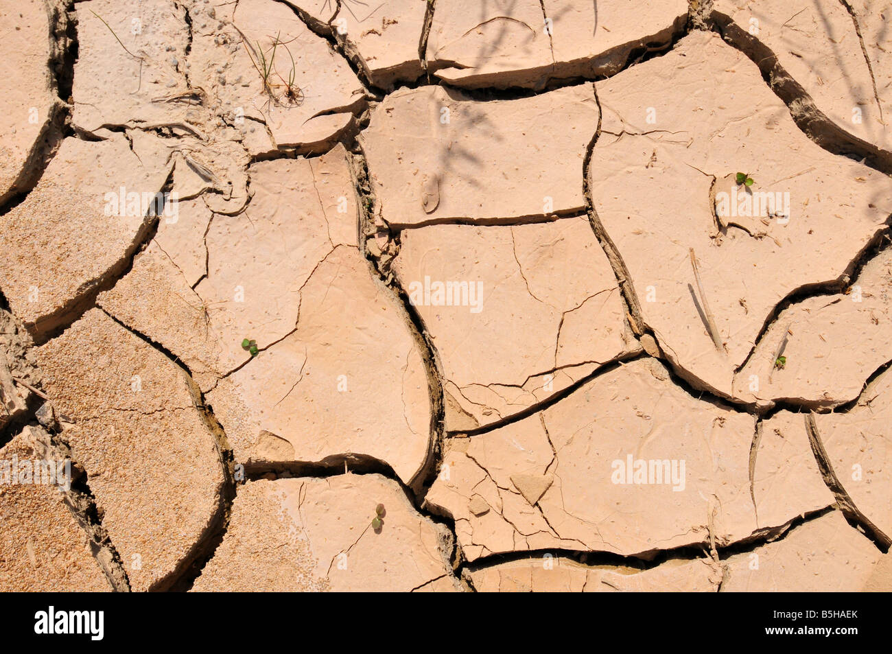 Cracked earth africa hi-res stock photography and images - Alamy