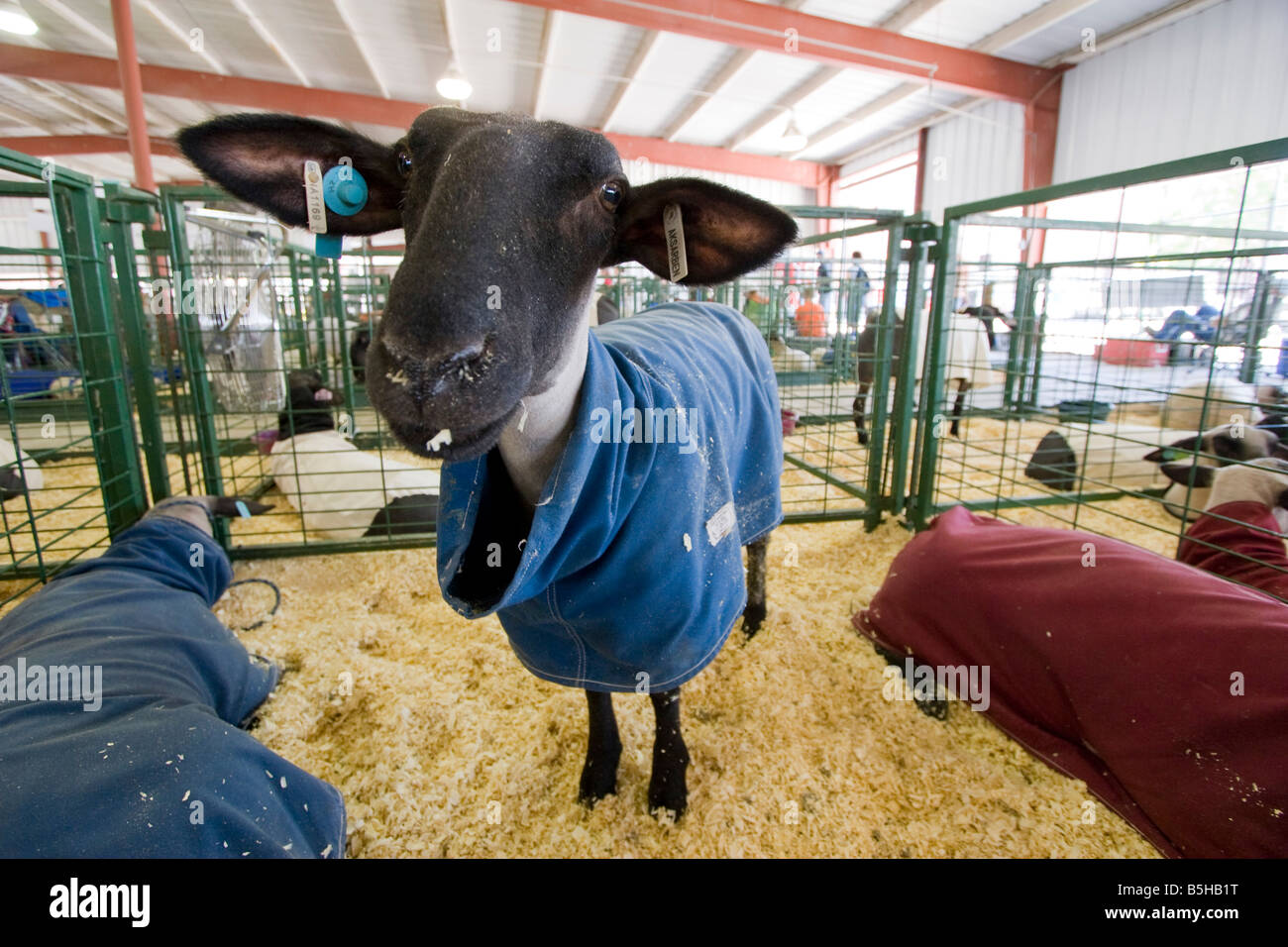 Nebraska state fair hi-res stock photography and images - Alamy