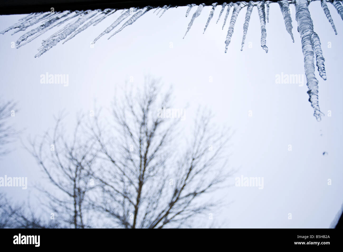 Icicles winter wonderland hi-res stock photography and images - Alamy