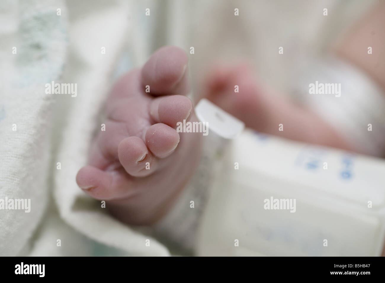A close up of newborn infant toes with a name tag after birth Stock ...