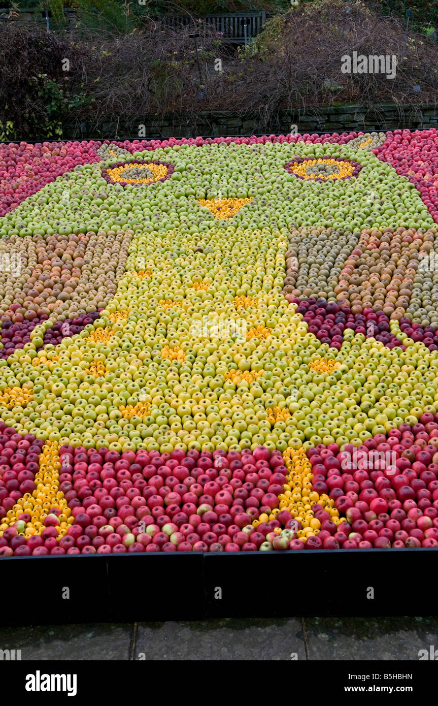 Apple Display at RHS Garden Wisley Surrey Stock Photo - Alamy