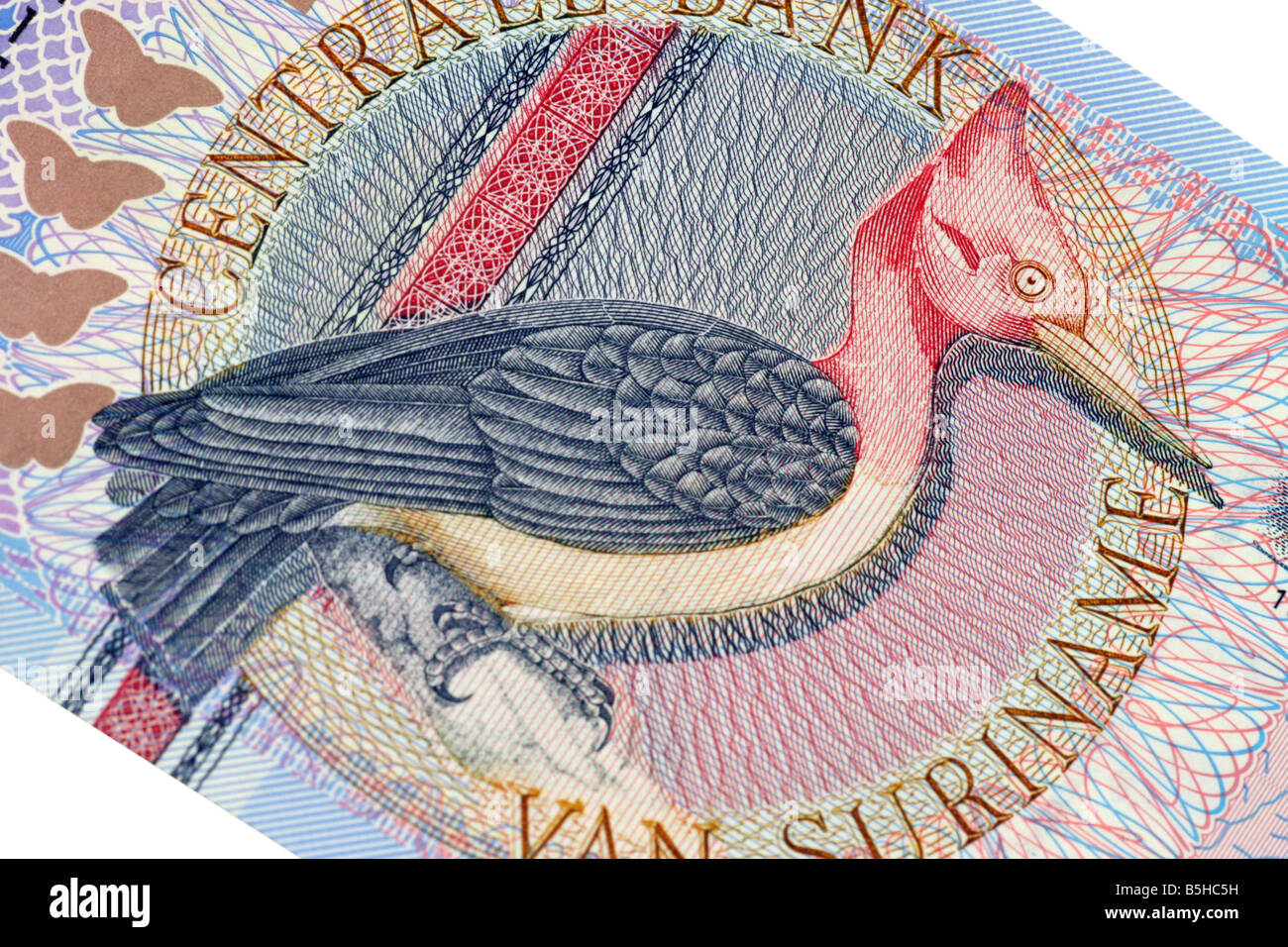 Artistic banknote hi-res stock photography and images - Alamy