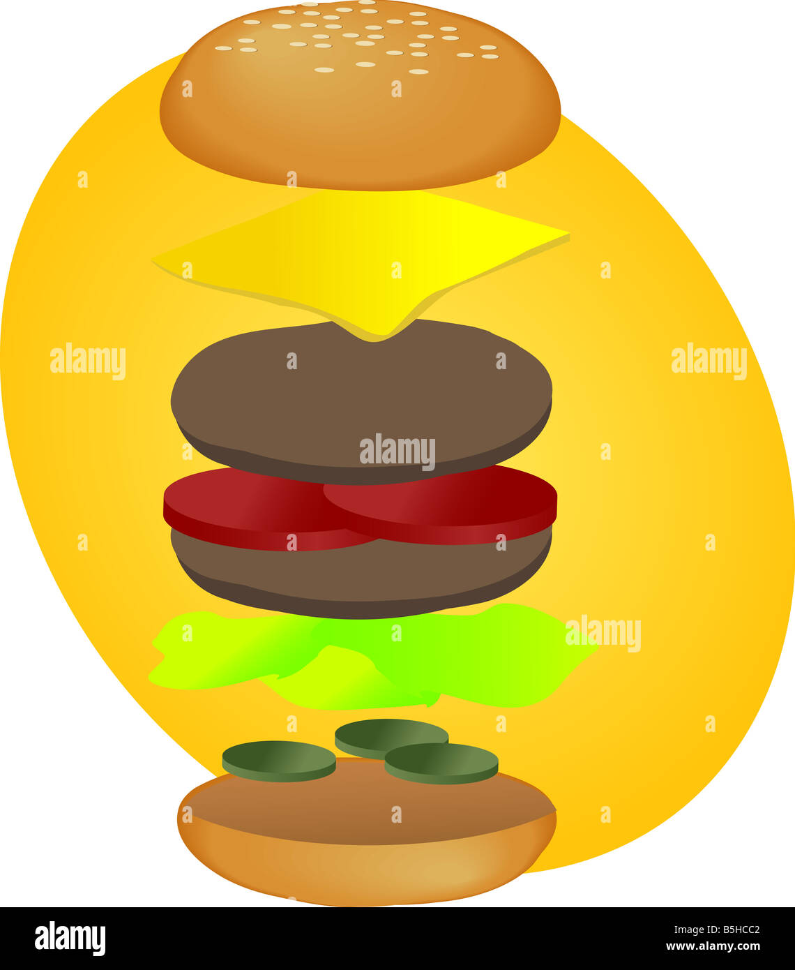 Hamburger illustration breakdown into sections fastfood diagram Stock ...