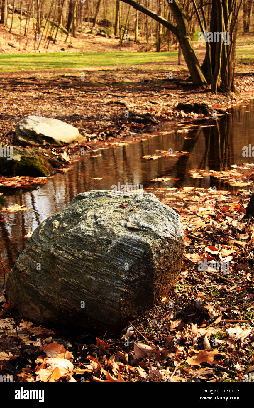 A tranquil spring time scene in woodland Stock Photo - Alamy