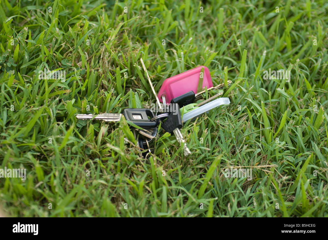 Lost keys in the grasses Stock Photo - Alamy