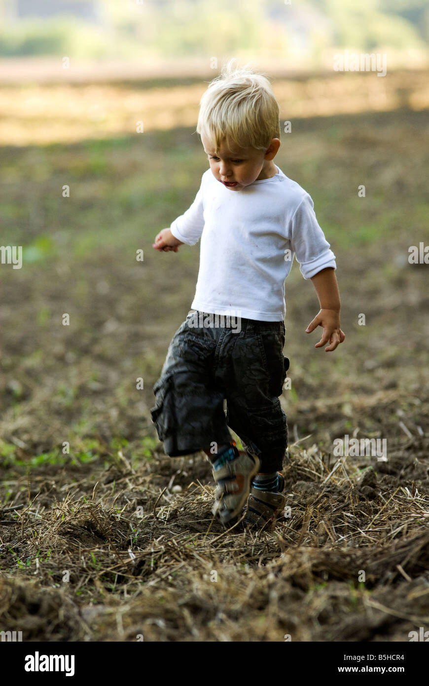 Little plow hi-res stock photography and images - Alamy