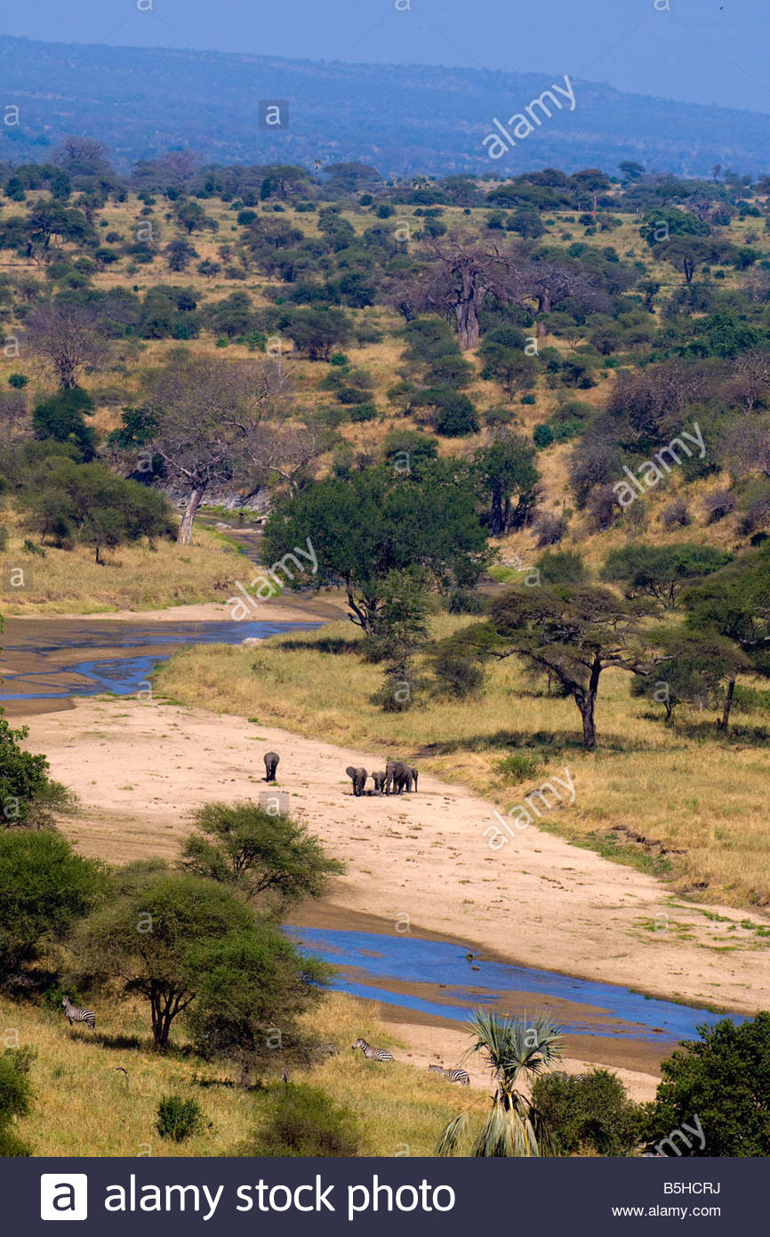Great African Rift Valley Aerial Stock Photos & Great African Rift ...