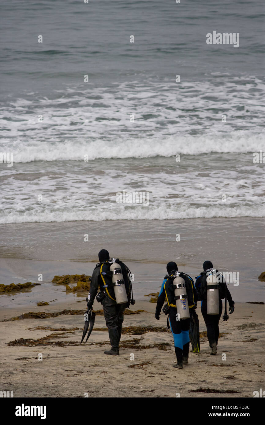 Scuba divers heading to the ocean Stock Photo - Alamy