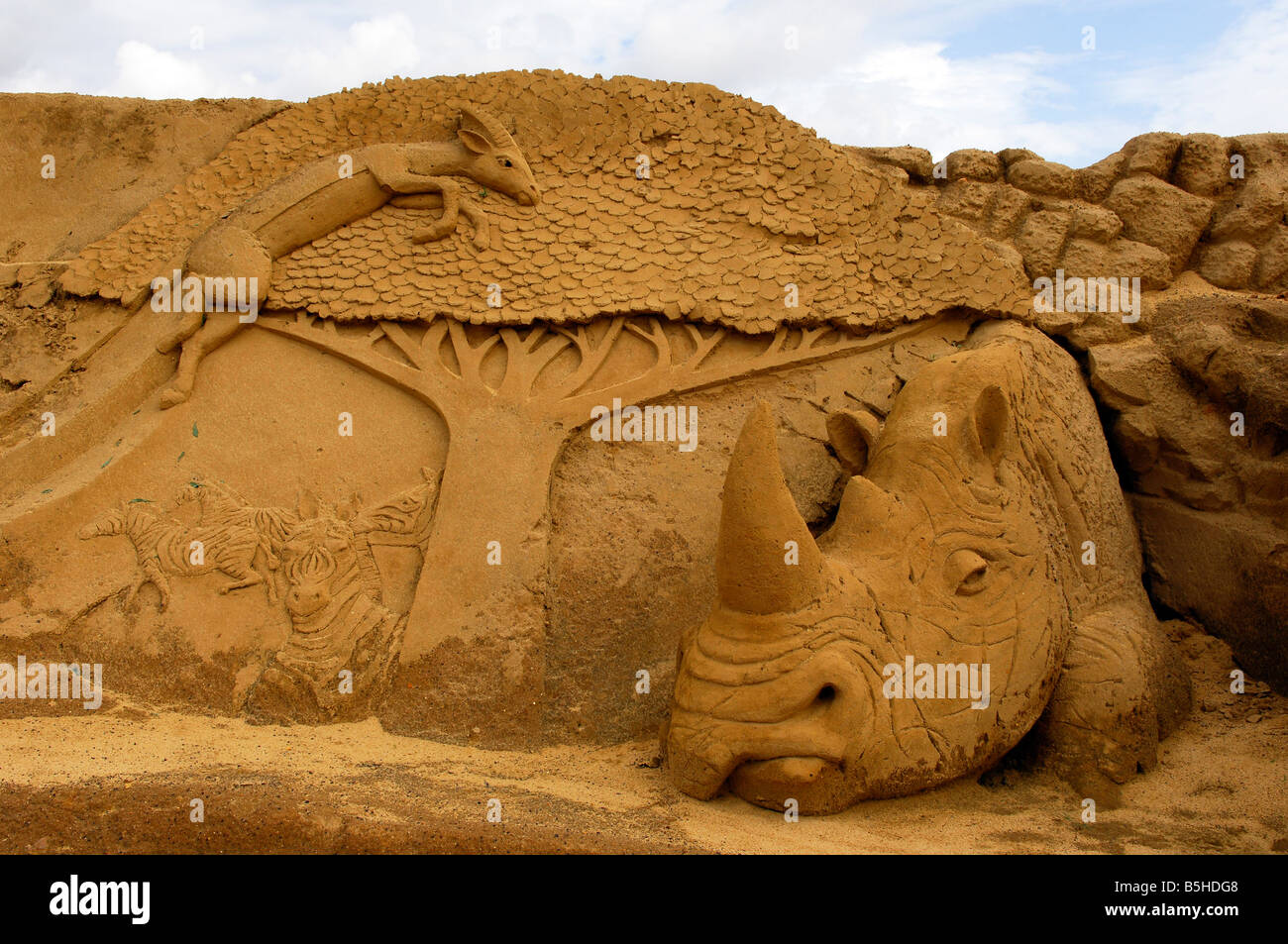 Rhinosceros hi-res stock photography and images - Alamy