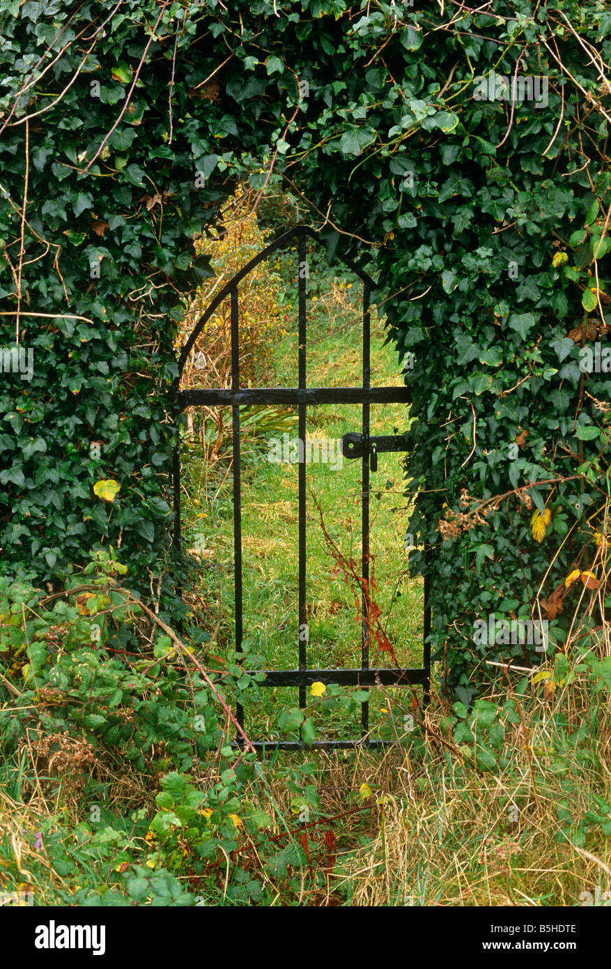 Gothic gateway hi-res stock photography and images - Alamy