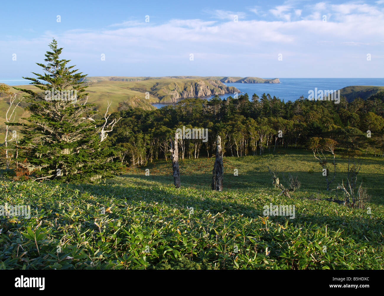 Pacific coast of Shikotan island Stock Photo - Alamy