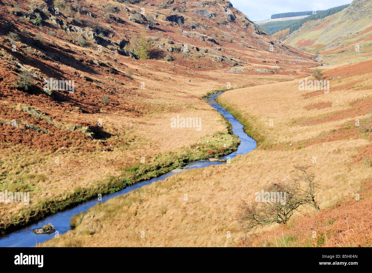 River Irfon running through Abergwesyn Pass Cambrian Mountains Powys ...