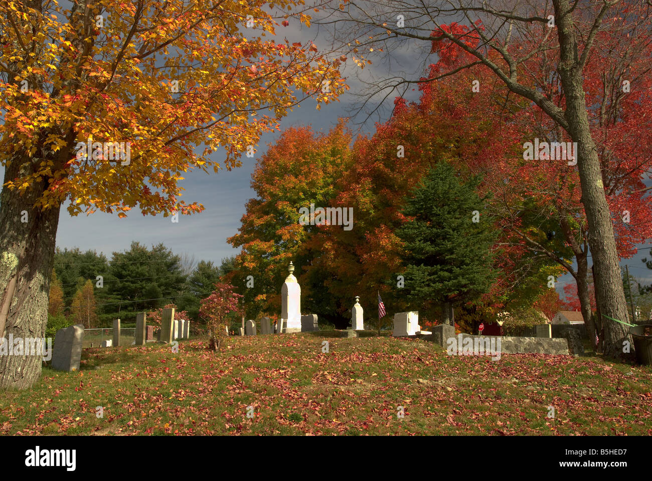 Trees of many colors hi-res stock photography and images - Alamy