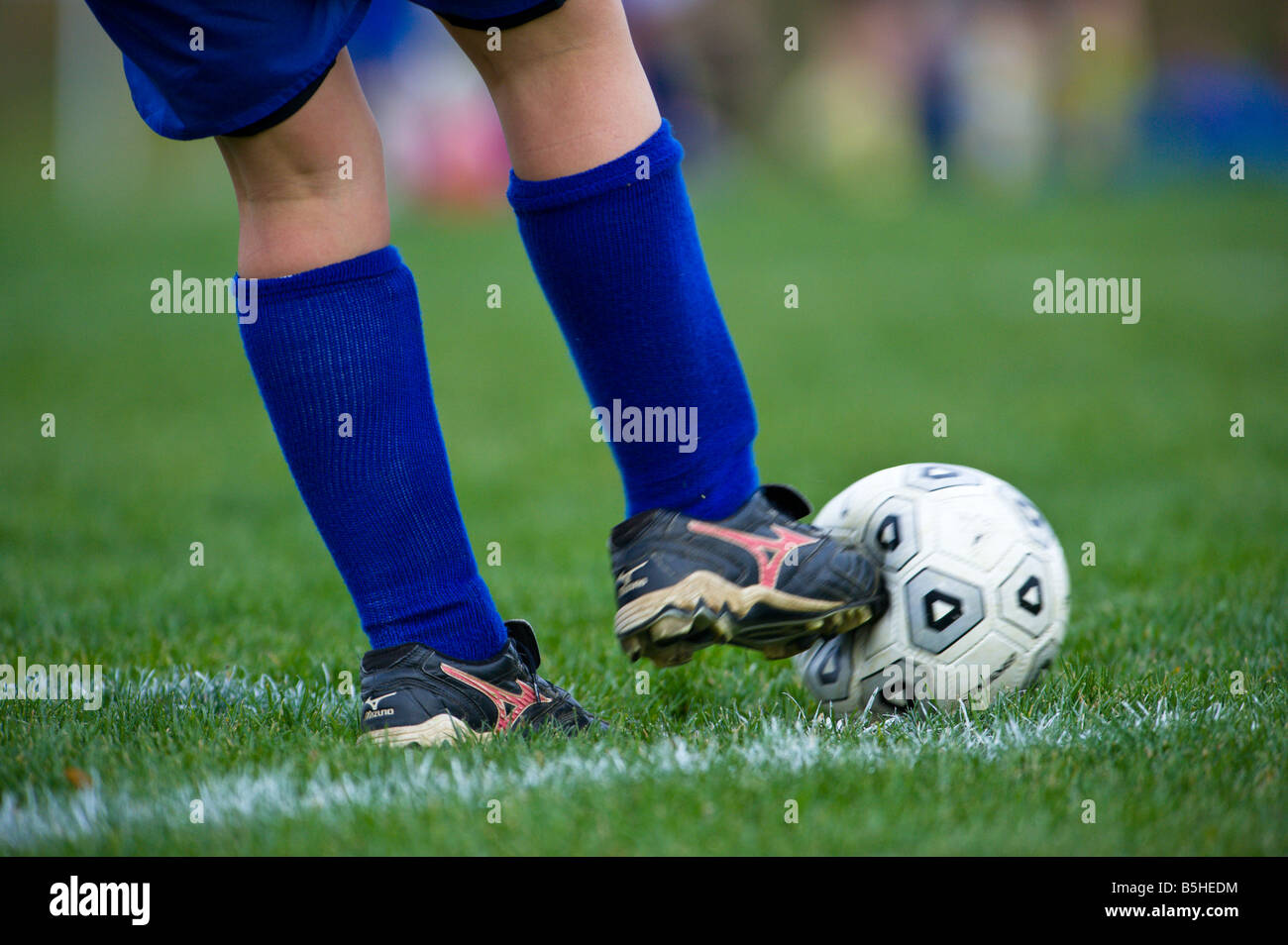 Shin kick hi-res stock photography and images - Alamy