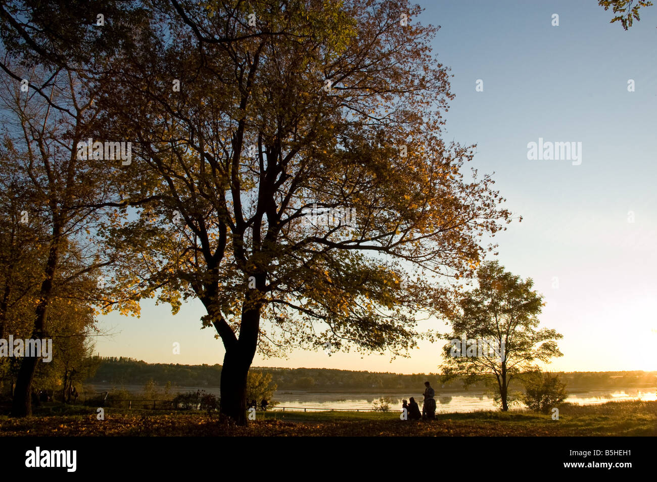 park in back sunlight Stock Photo - Alamy