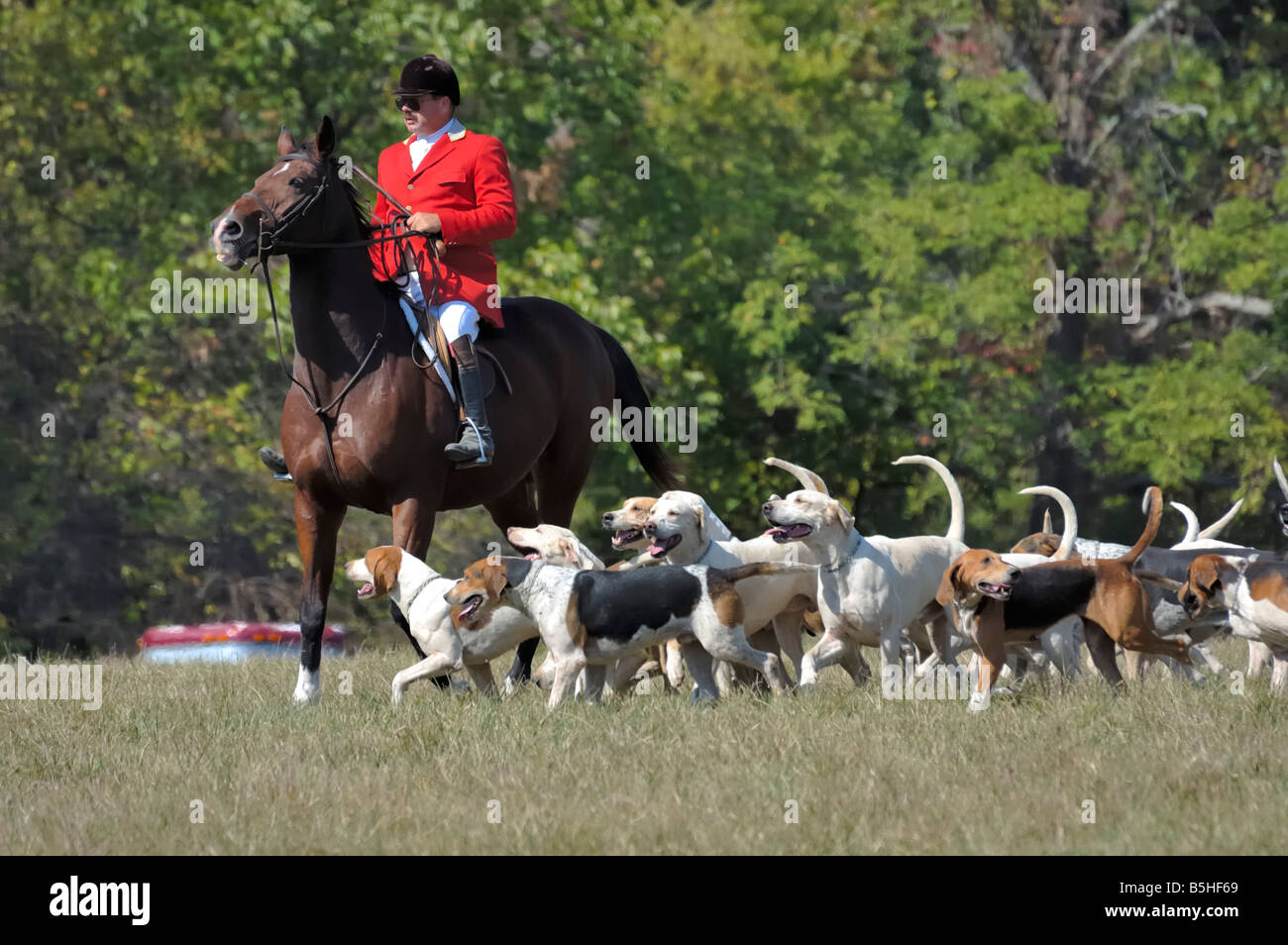 Annual Hunter Trials of The Camargo Hunt in Indian Hill Ohio USA Stock ...