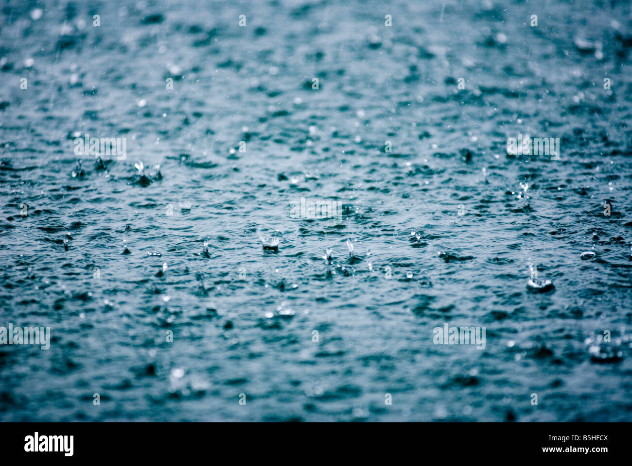 heavy rain on water surface Stock Photo - Alamy
