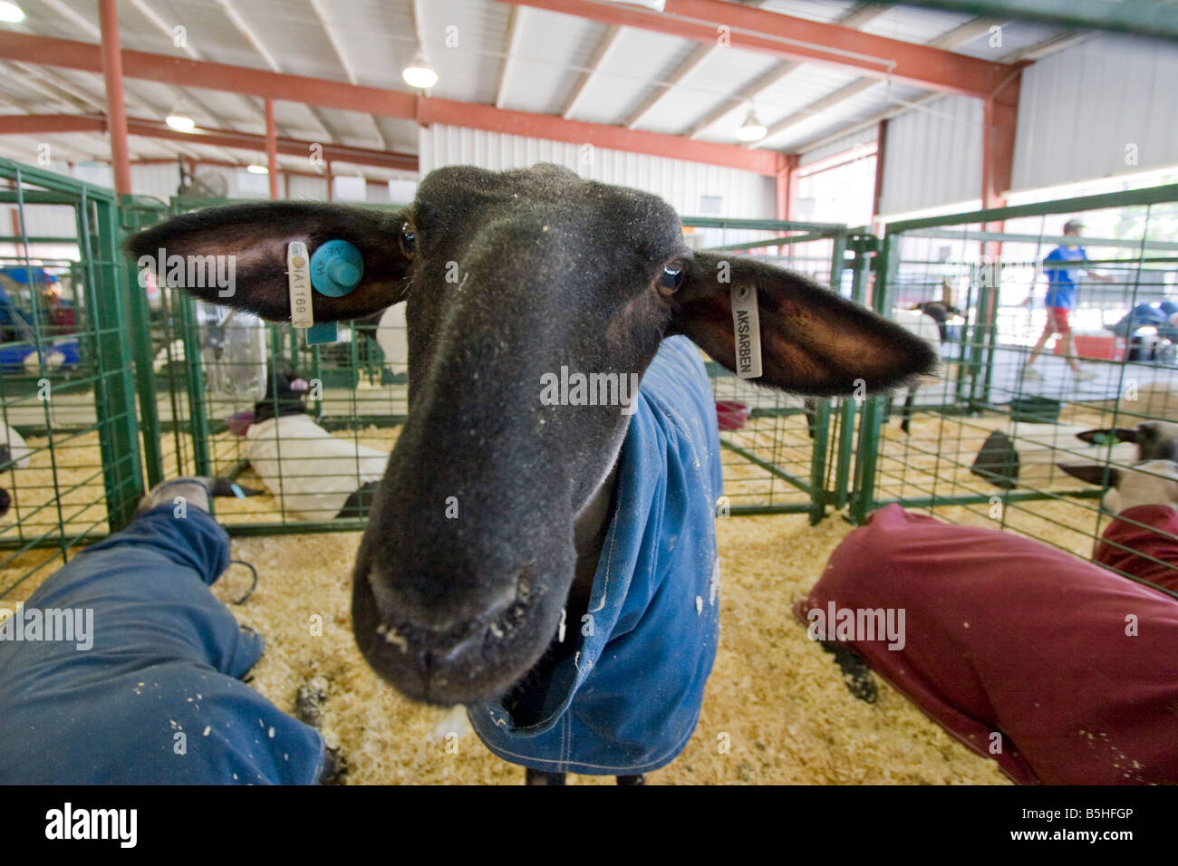 Nebraska state fair hi-res stock photography and images - Alamy