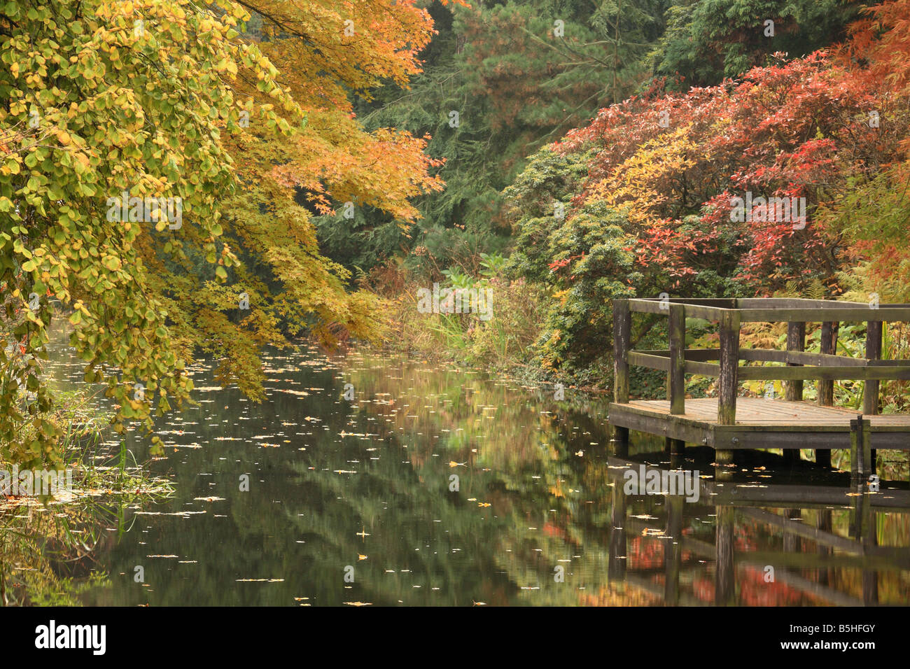 Quiet water and autumn colours colors Stock Photo - Alamy