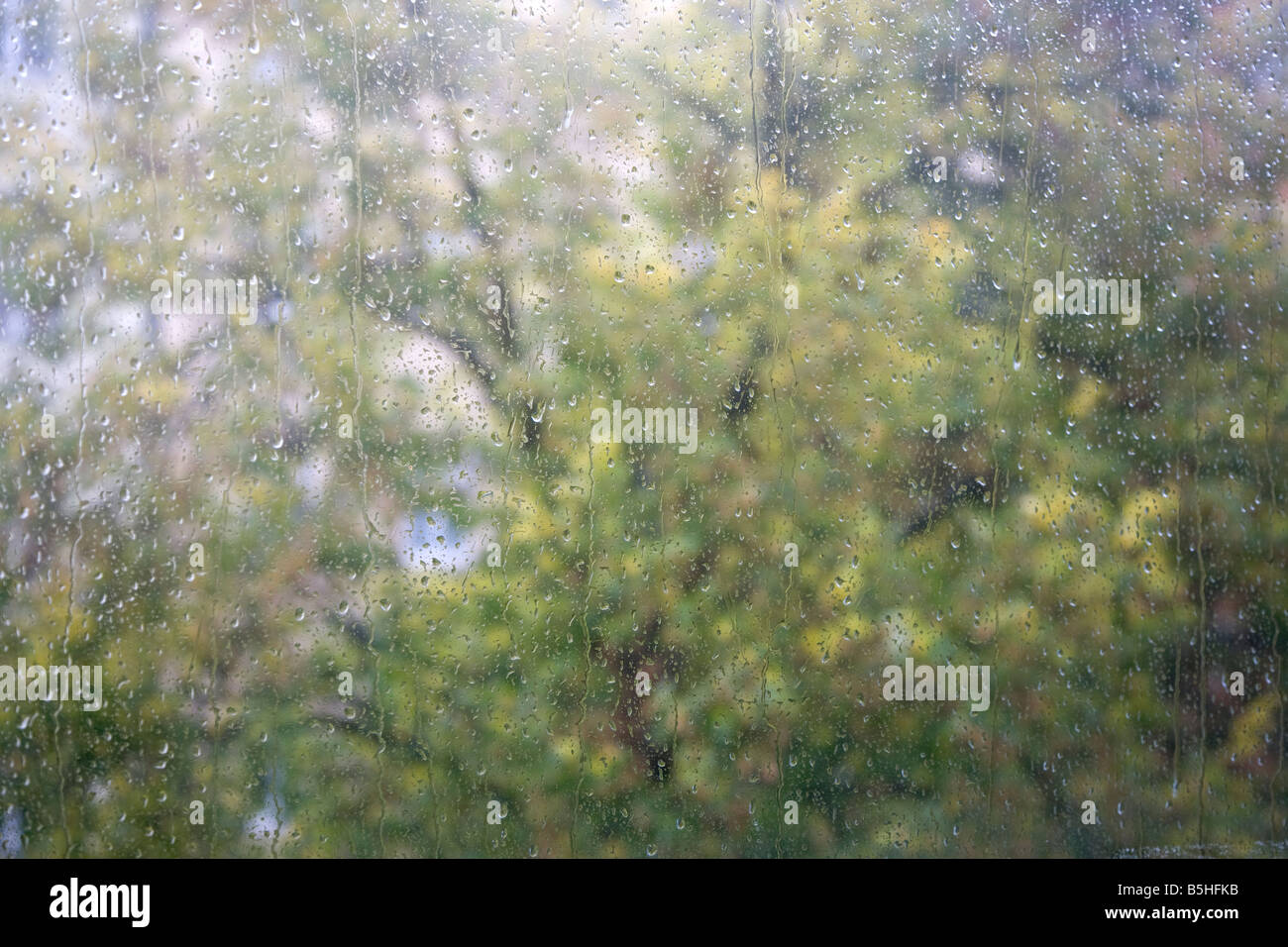 Rain on a window pane looking out to trees Stock Photo - Alamy