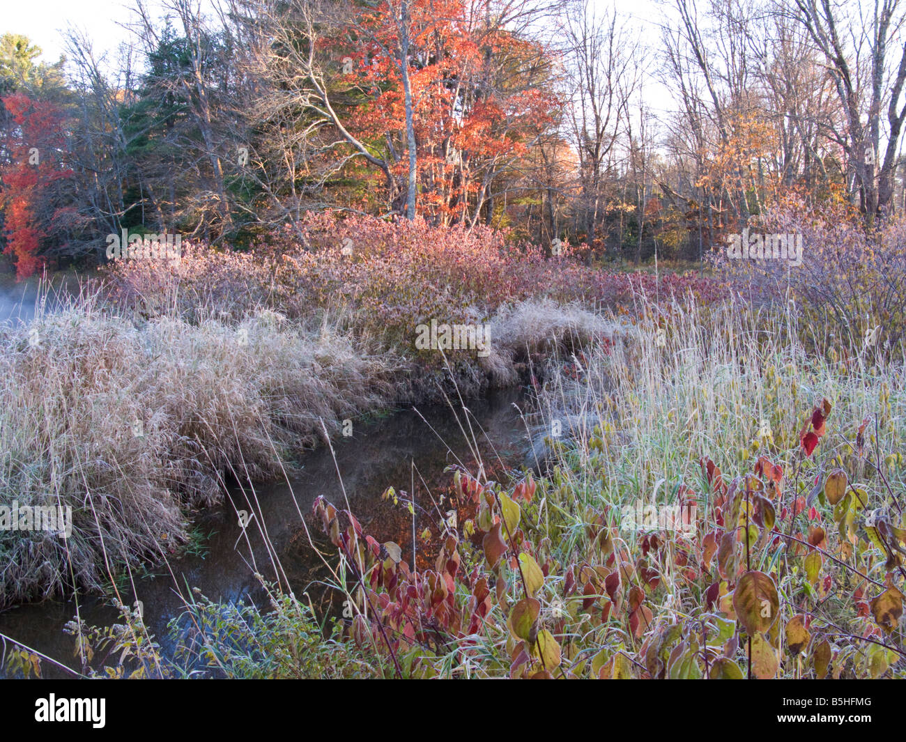 St George River with fog in Warren Maine United States Stock Photo - Alamy
