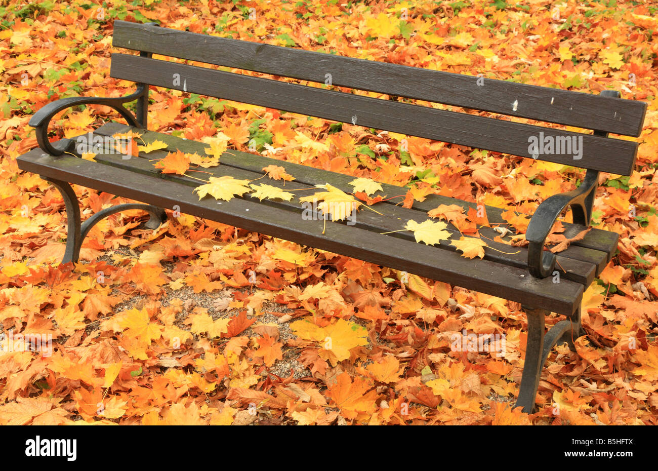 Park bench in autumn with fallen leaves on it Stock Photo - Alamy