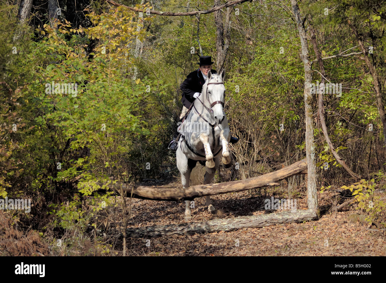 First foxhunt of the season following the annual Blessing of the Hounds ...