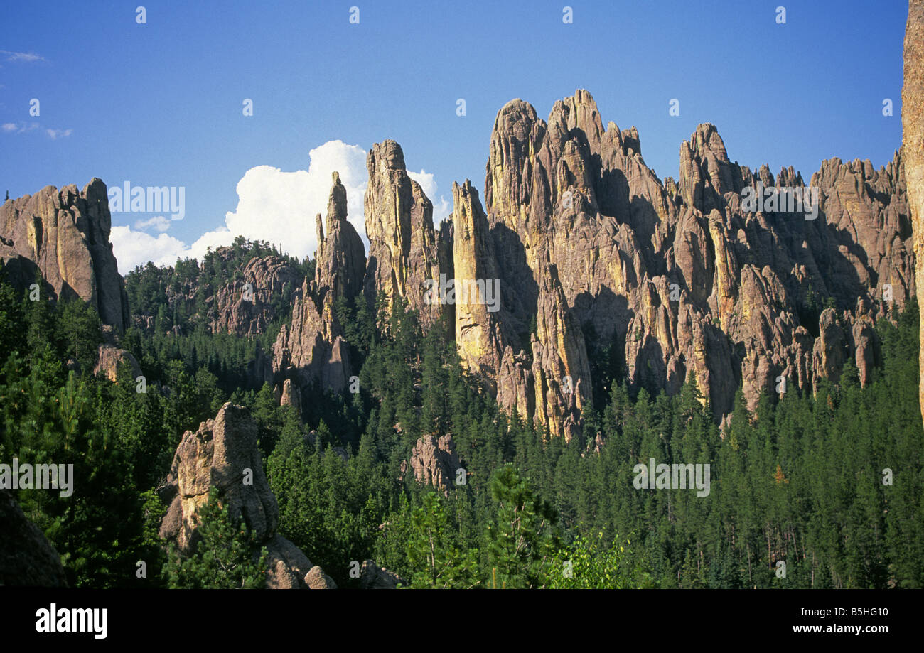 Cathedral spires custer state park hi-res stock photography and images ...