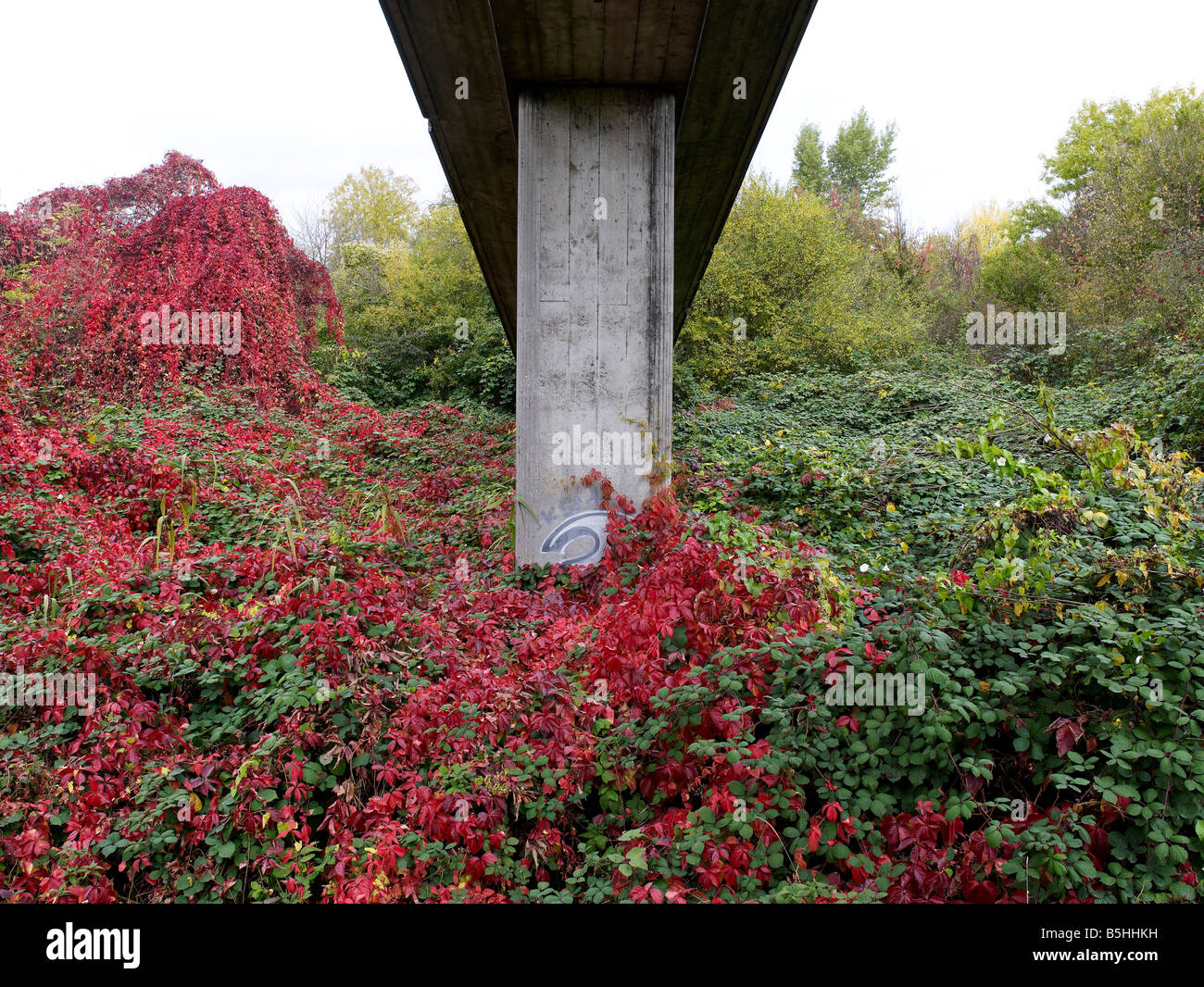 concrete bridge in nature Stock Photo - Alamy