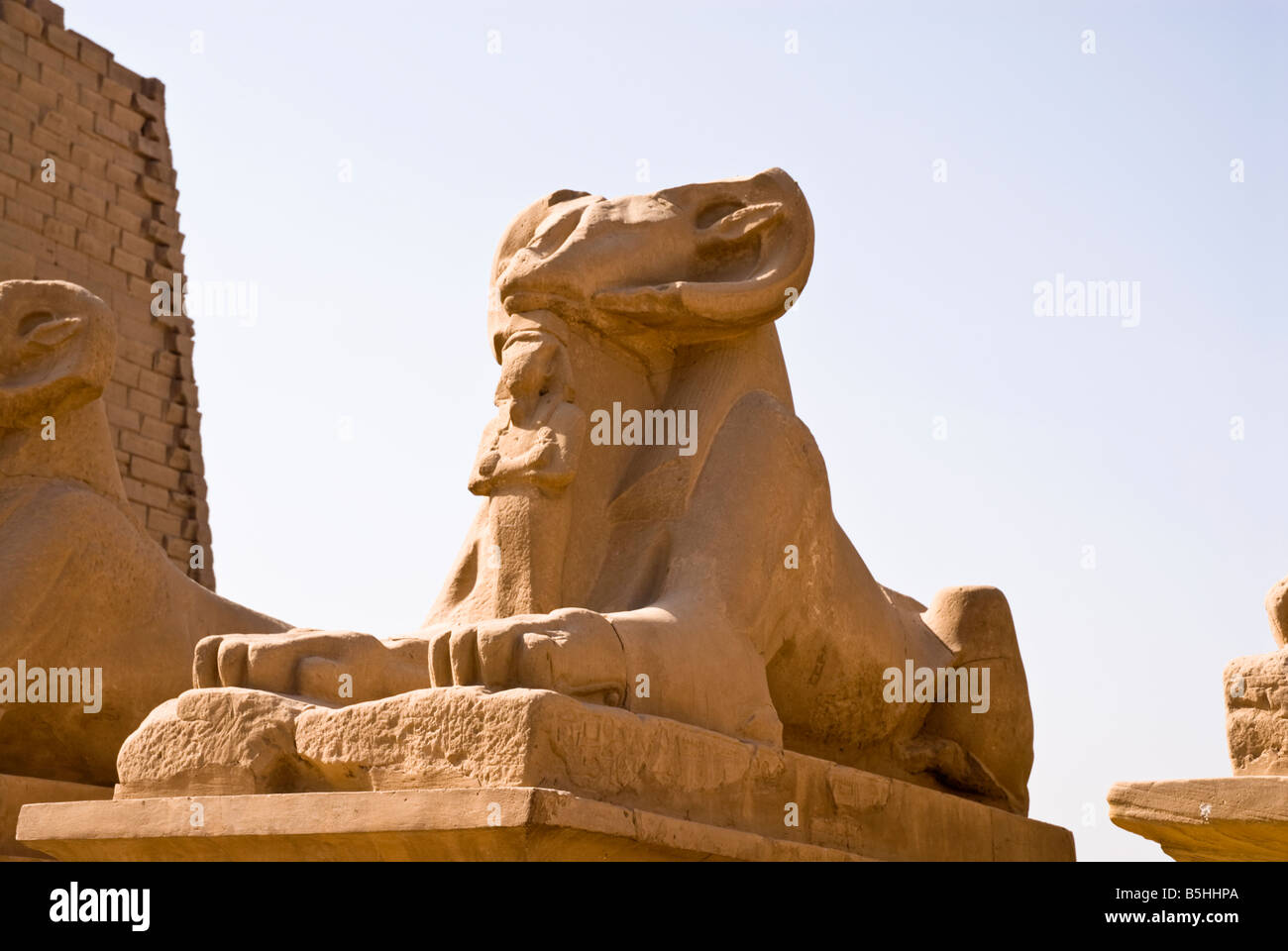 Ram headed sphinx Stock Photo - Alamy