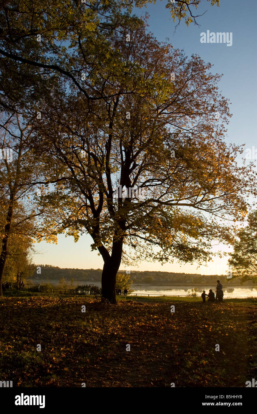 park in back sunlight Stock Photo - Alamy