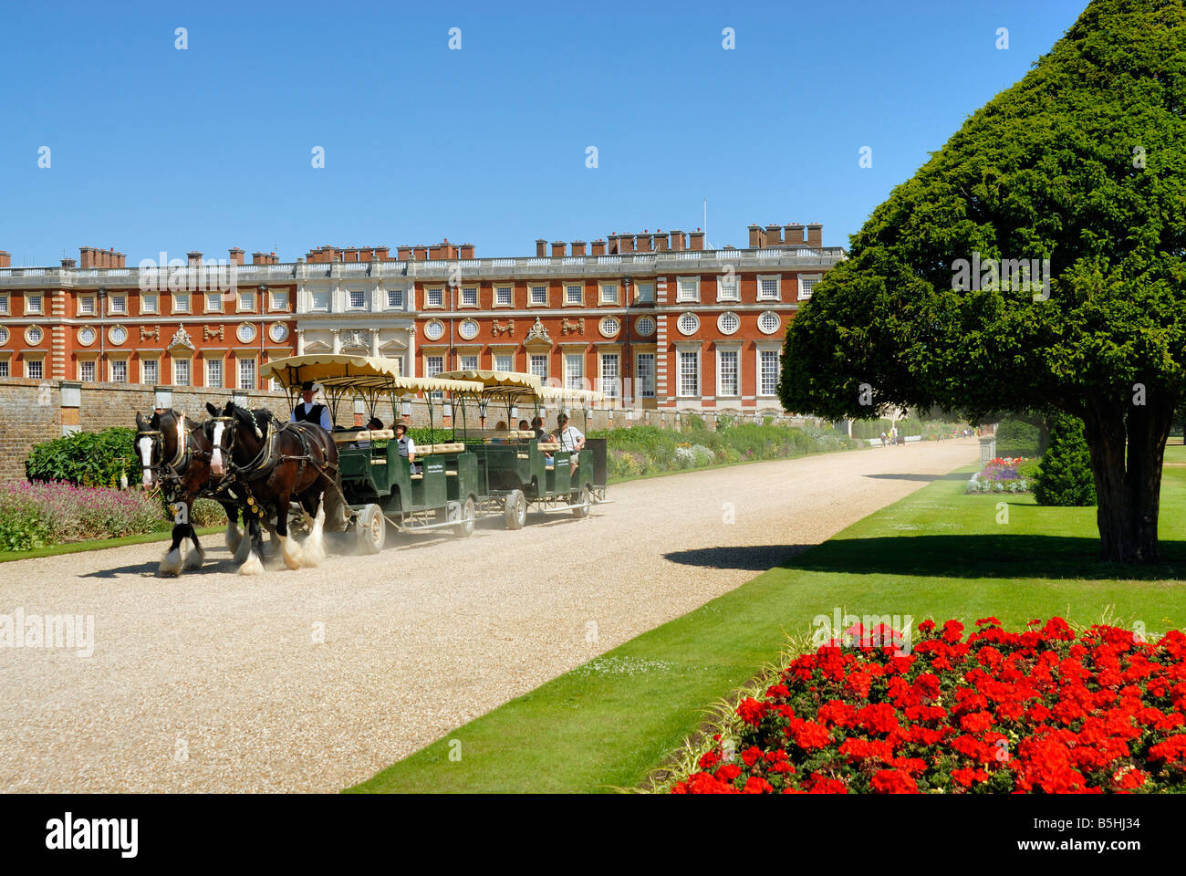 Shire horse ride hi-res stock photography and images - Alamy