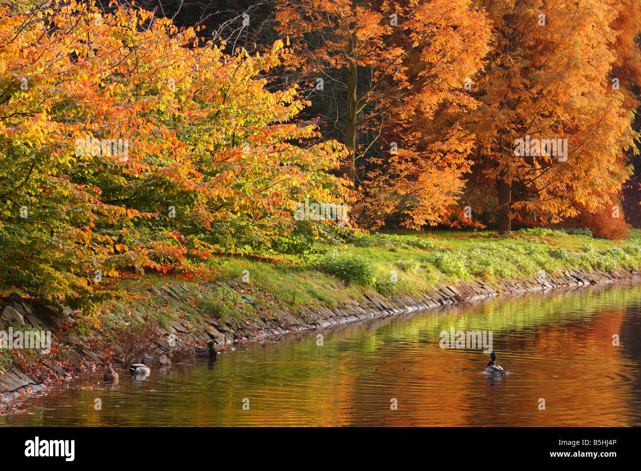 Quiet water and autumn colours colors Stock Photo - Alamy