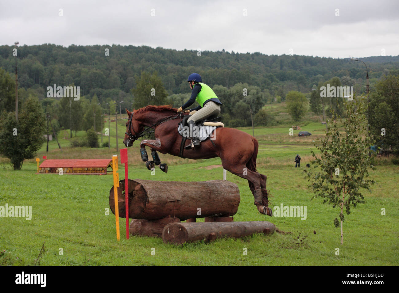 Horse Looking Back At Rider