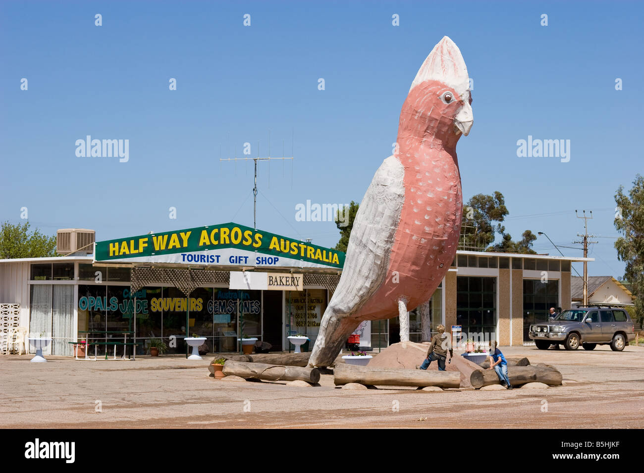 Big Galah Kimba Eyre Peninsula South Australia Stock Photo - Alamy