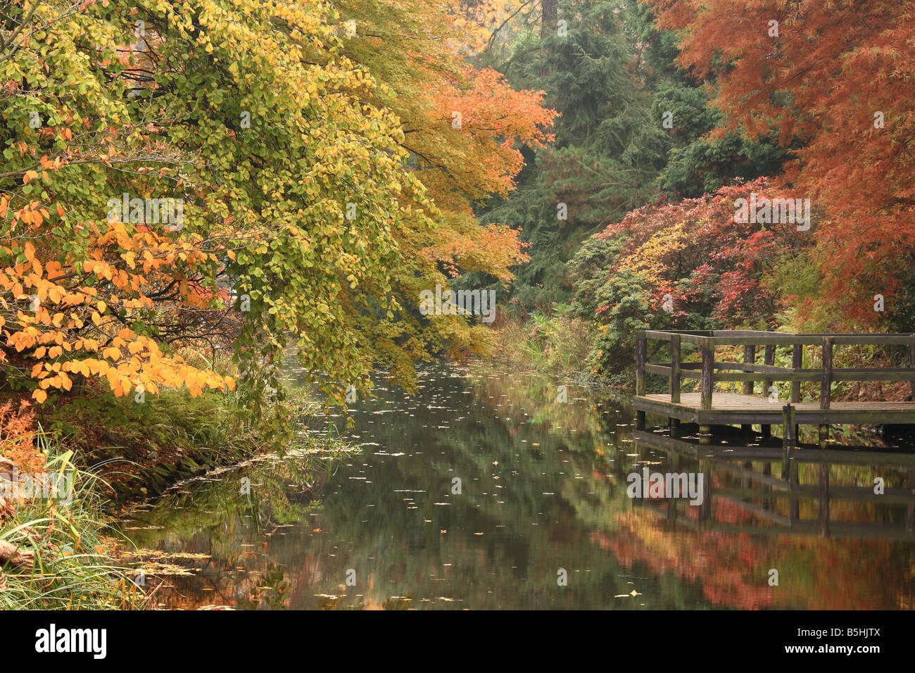 Autumn colours colors hi-res stock photography and images - Alamy