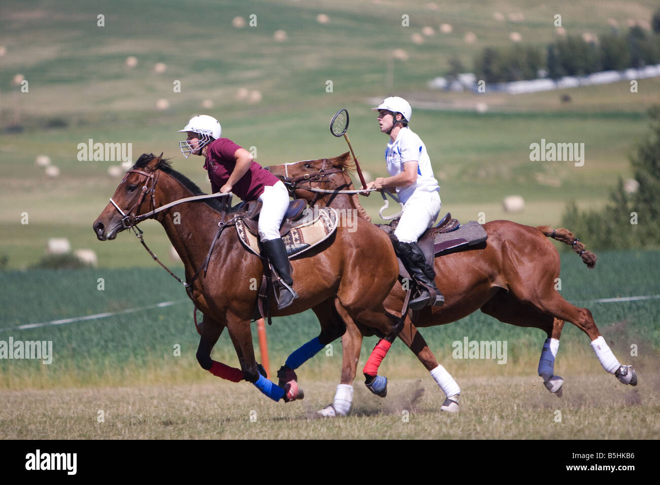 Polocrosse hi-res stock photography and images - Alamy