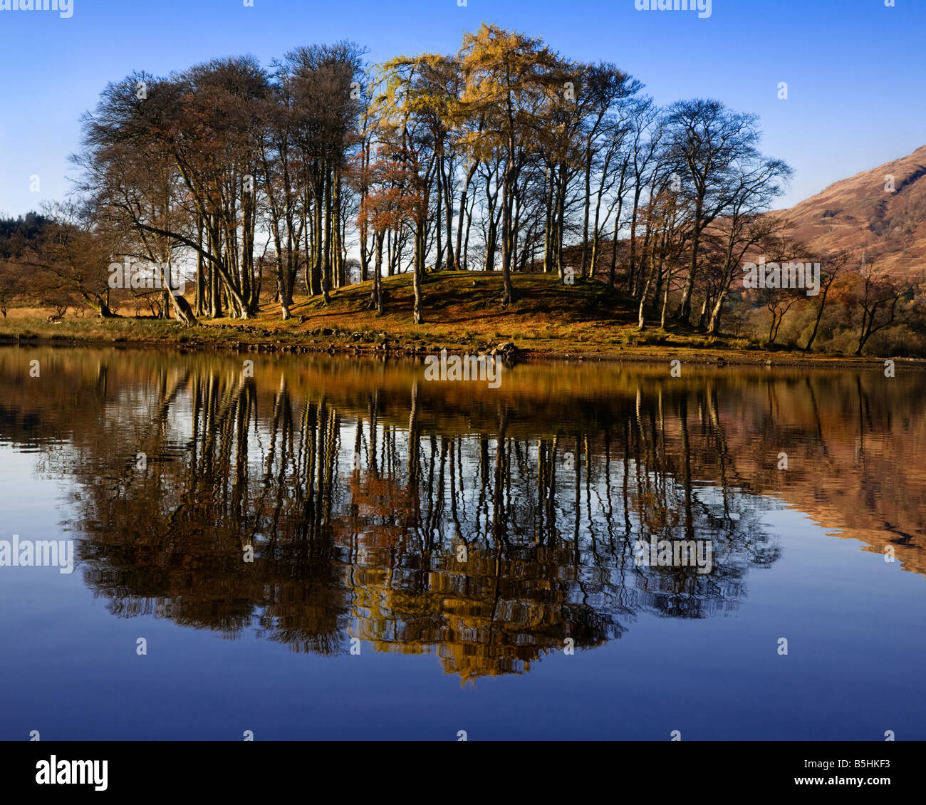 A Tree Covered Mound Reflecting In Loch Awe, Scottish Highlands, Argyll ...