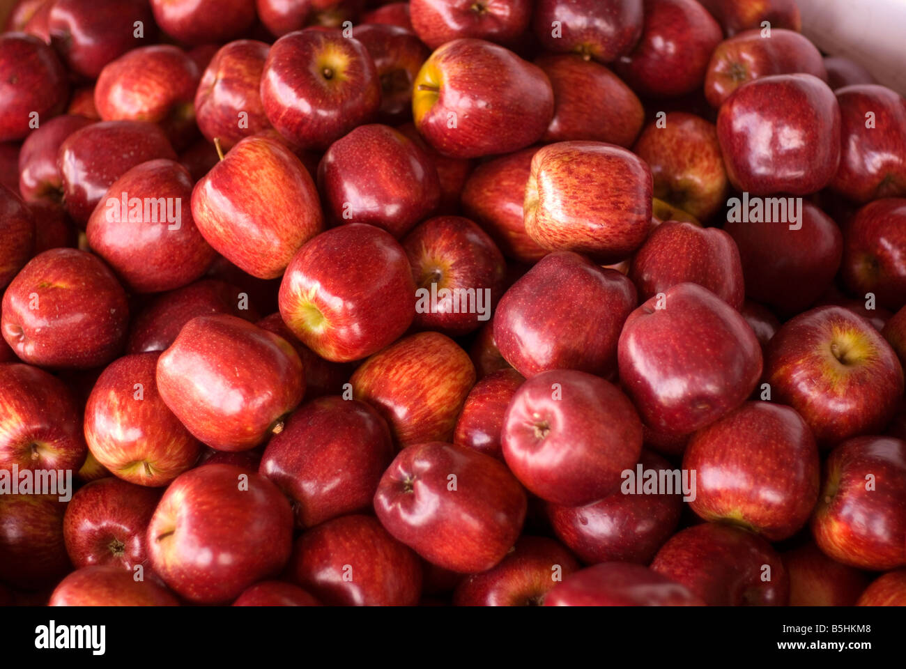 Jonathan apples hi-res stock photography and images - Alamy