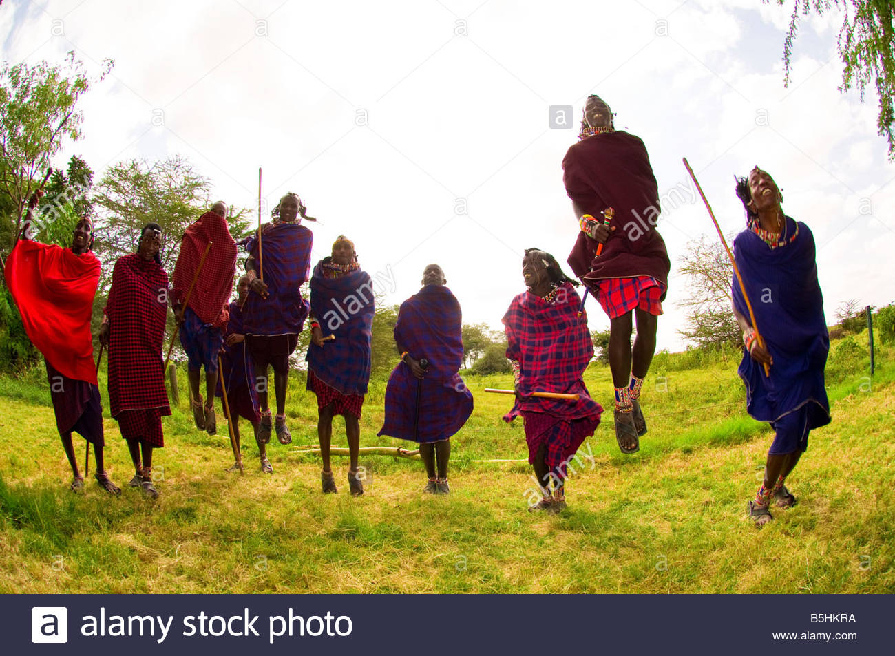 Maasai Warriors Dancing Jumping Kenya High Resolution Stock Photography ...