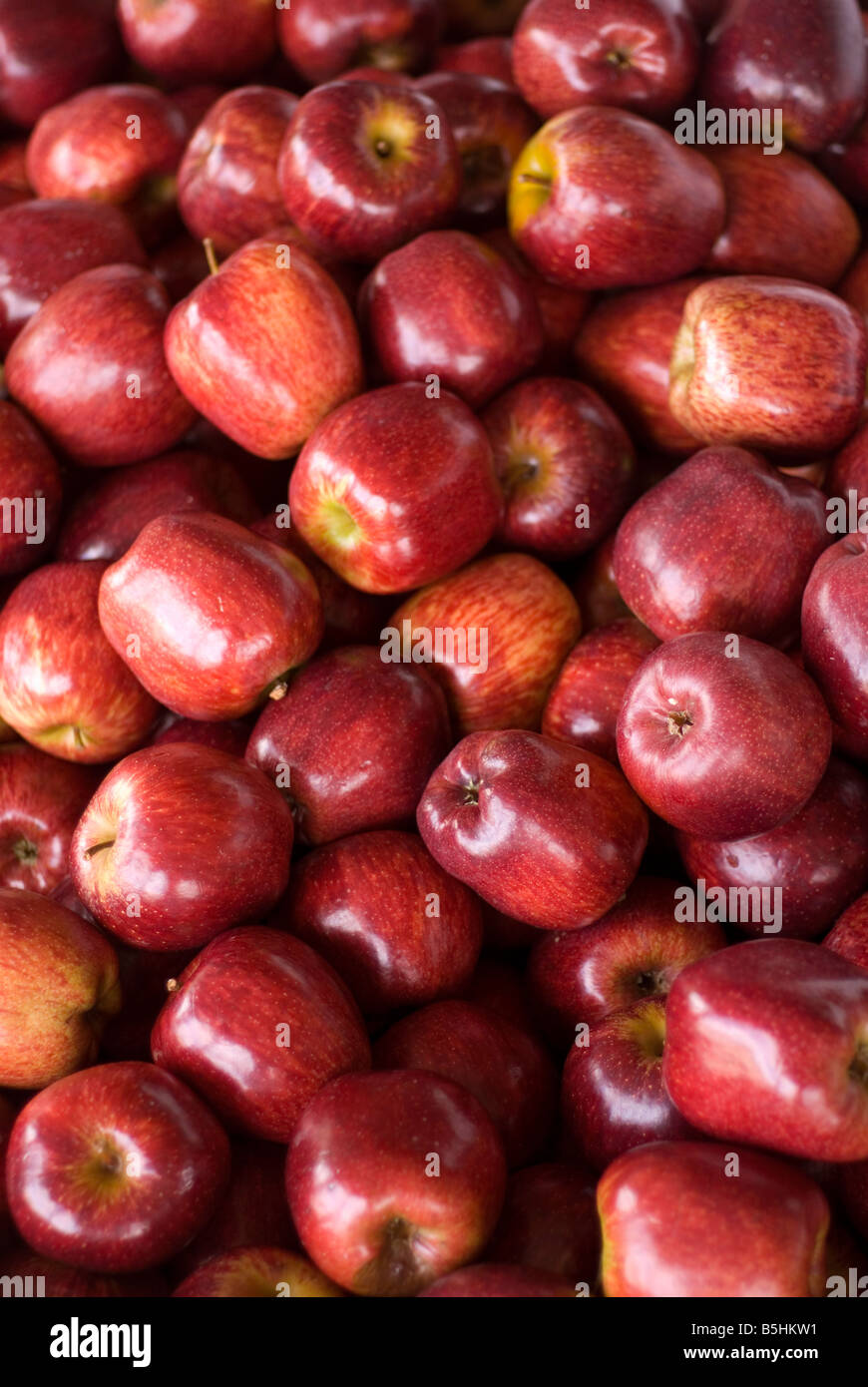Red jonathan apples hi-res stock photography and images - Alamy