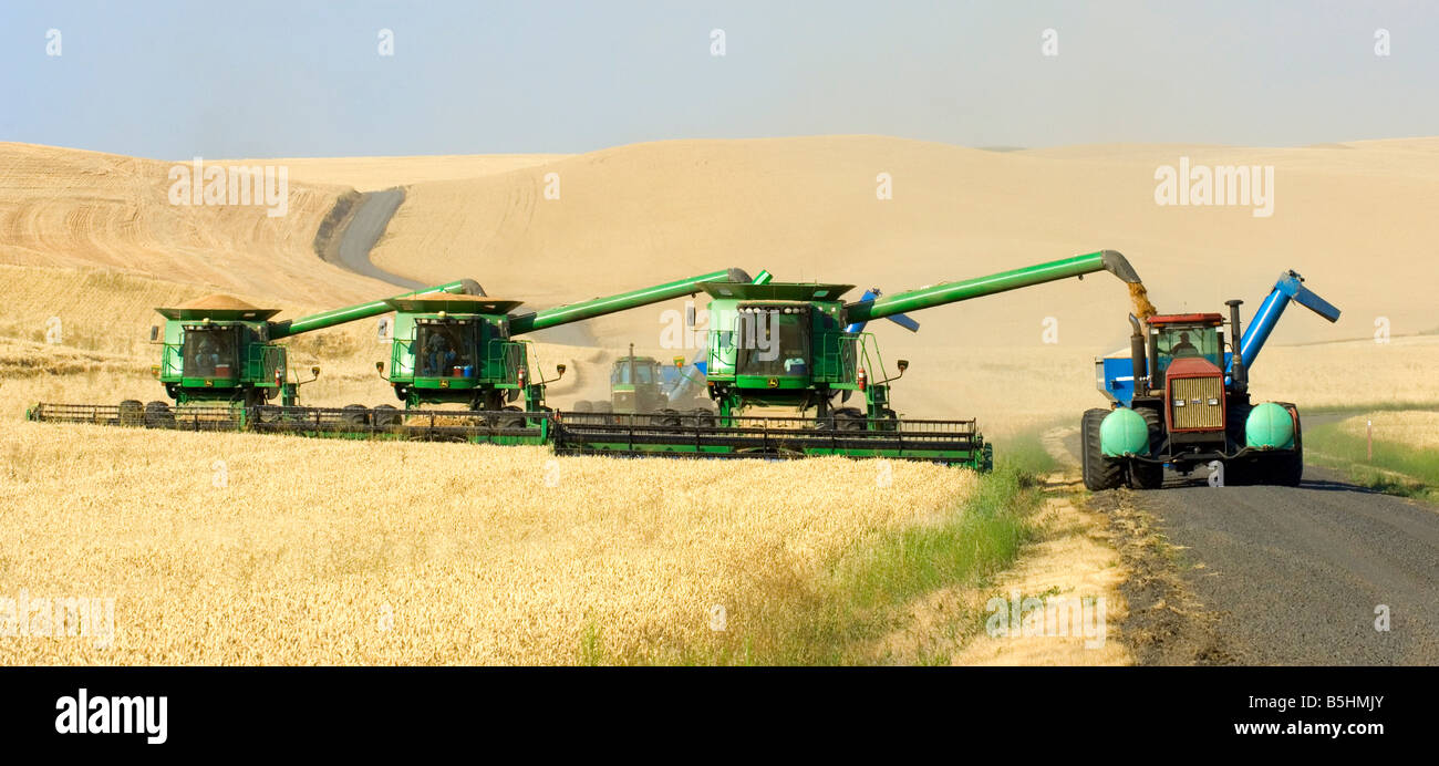 A team of combines with unloads into grain carts on the go in the ...
