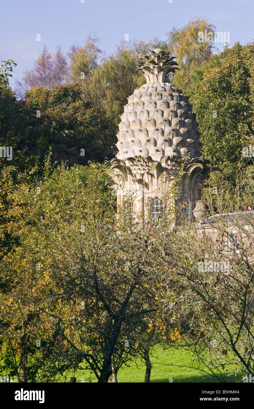 Airth pineapple hi-res stock photography and images - Alamy