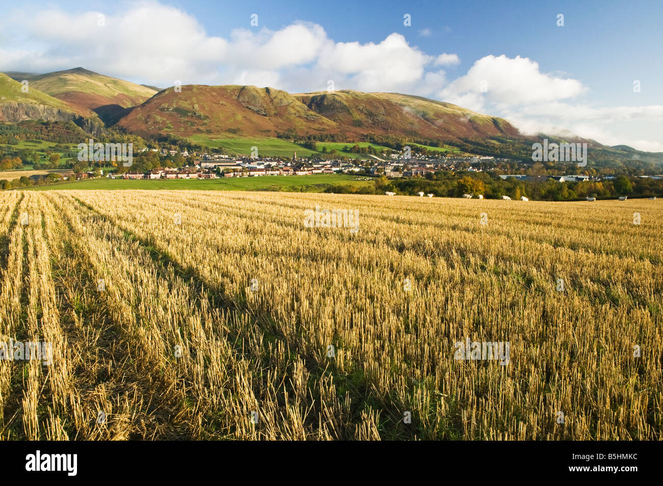 Ochil hills hi-res stock photography and images - Alamy