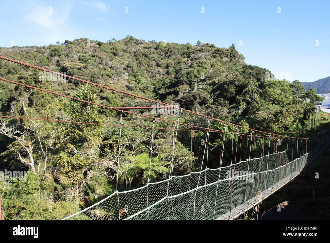 Suspension bridge over tropical rain forest in Malaysia Stock Photo - Alamy