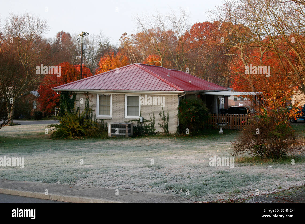 Privet house hi-res stock photography and images - Alamy