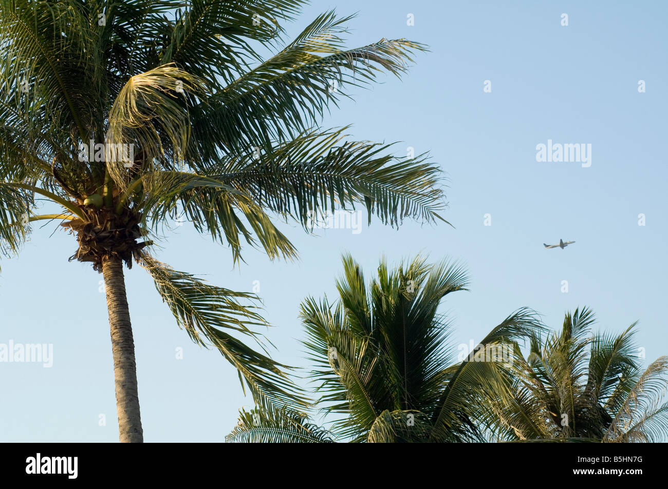 Airplane above hi-res stock photography and images - Alamy