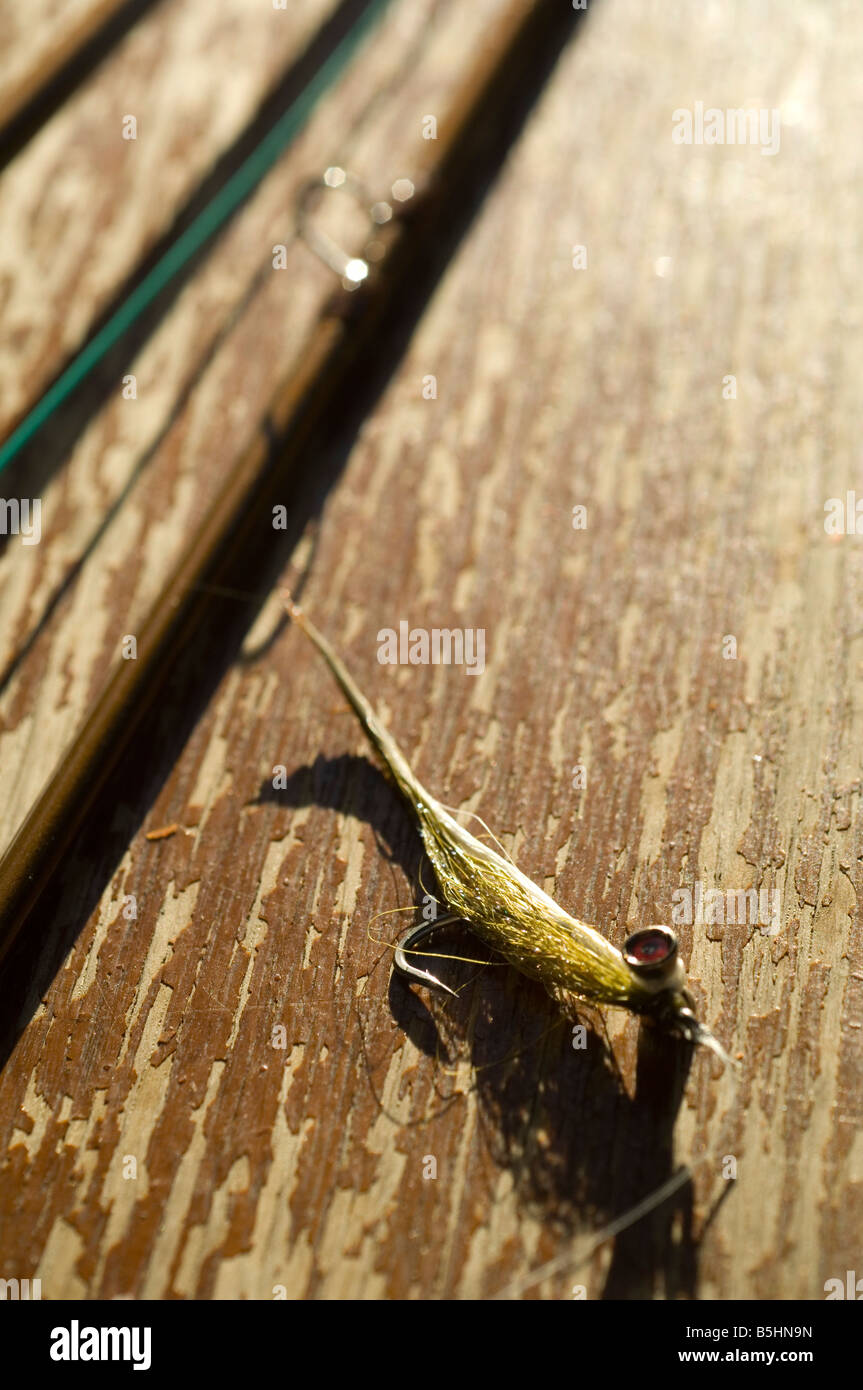 Salt water fly hi-res stock photography and images - Alamy