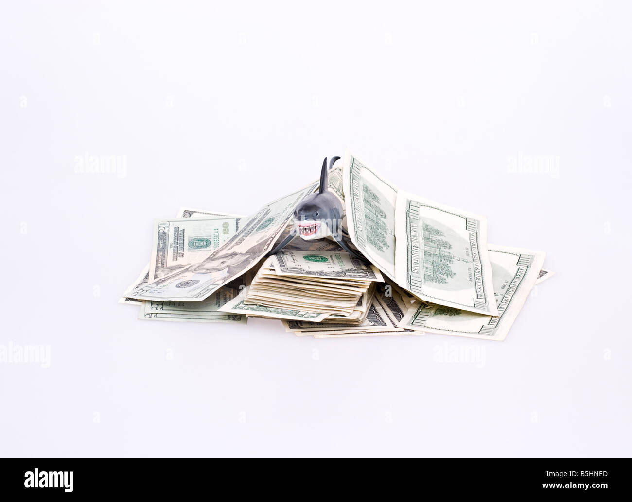 A shark on a pile of money with a bills covered with bills Stock Photo ...